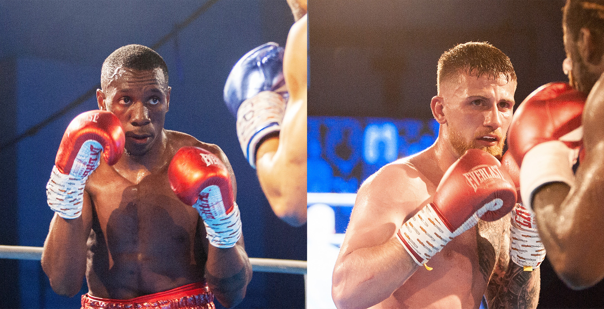 Danske boksere bryder igennem på WBC’s verdensrangliste efter seneste ...